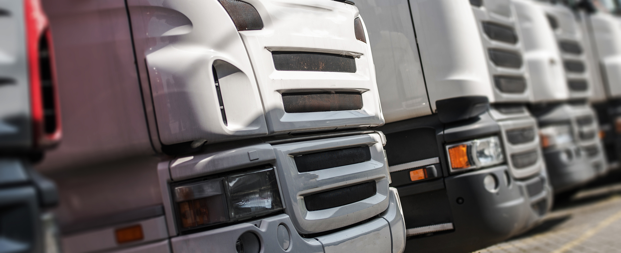 Services We Offer - MB Retail Distribution